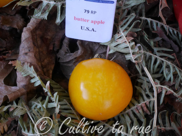 Butter apple – Cultive ta rue