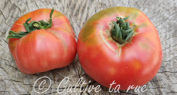 Dubok – Cultive ta rue