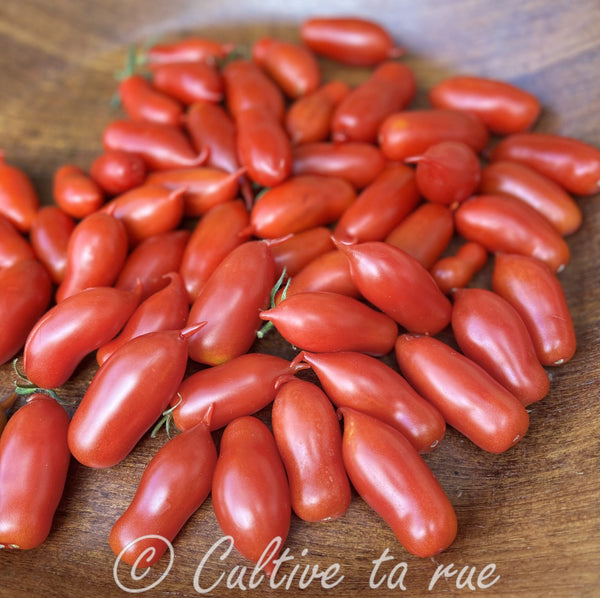 Handy Lady – Cultive ta rue