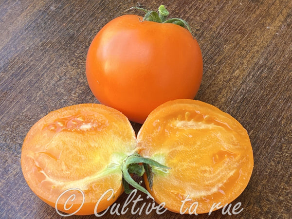 Tangerine – Cultive ta rue