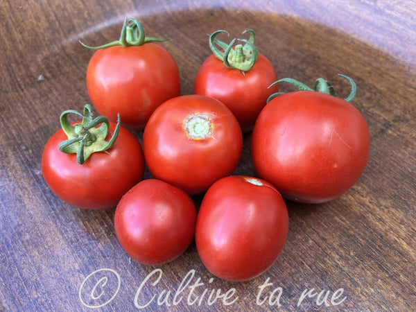 Heinz 1350 – Cultive ta rue