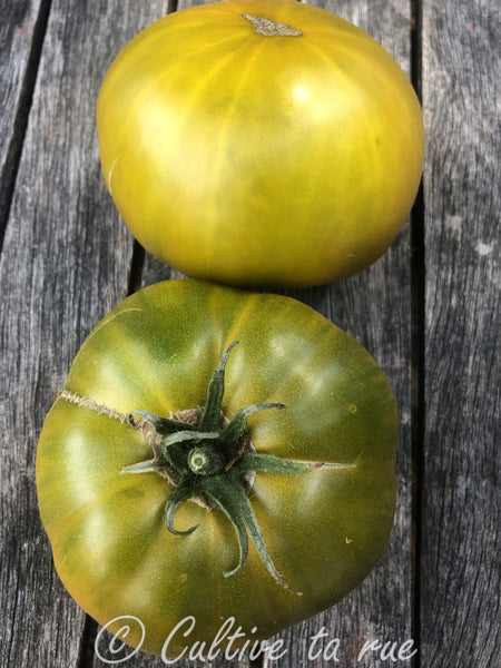 Grandma Oliver green – Cultive ta rue