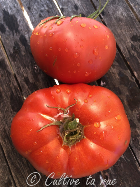 Super marmande – Cultive ta rue