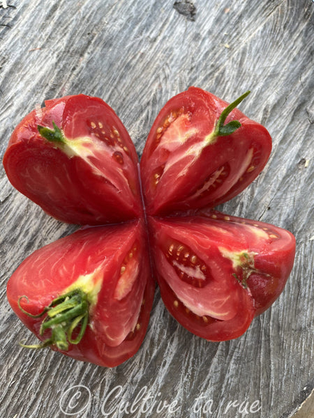 Big dipper – Cultive ta rue