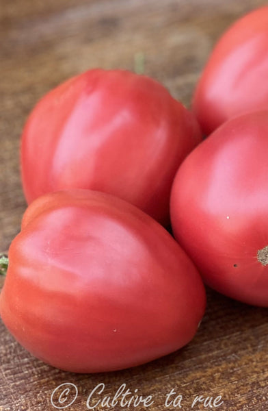 Elmer's old German – Cultive ta rue