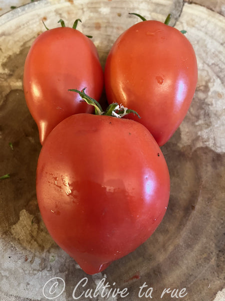 Inciardi Paste – Cultive ta rue