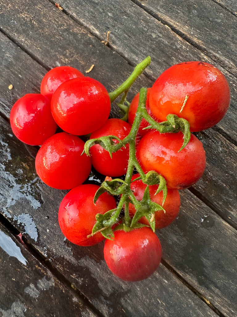 Little red corvette – Cultive ta rue