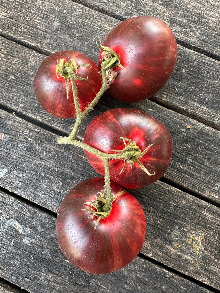 Showstopper – Cultive ta rue