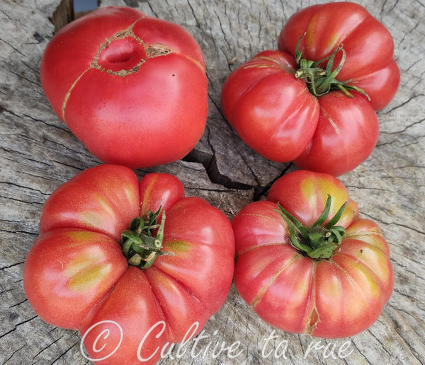 Pomidory Malinowe – Cultive ta rue