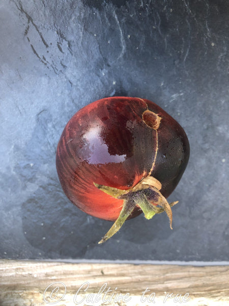 Tyhrovaya hrusha – Cultive ta rue