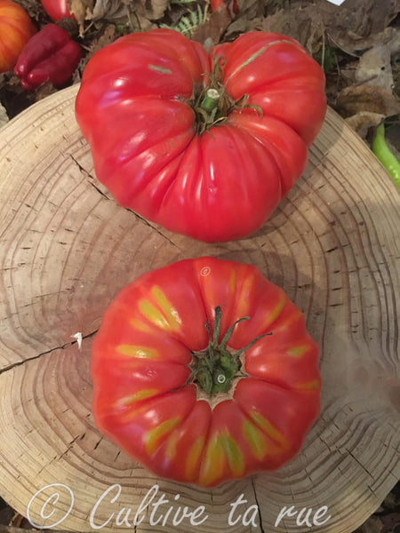 Big Zac – Cultive ta rue