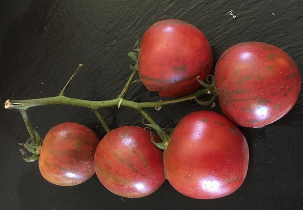 Black zebra cocktail – Cultive ta rue