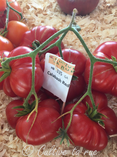 Calabash red – Cultive ta rue