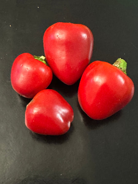Cherry time – Cultive ta rue