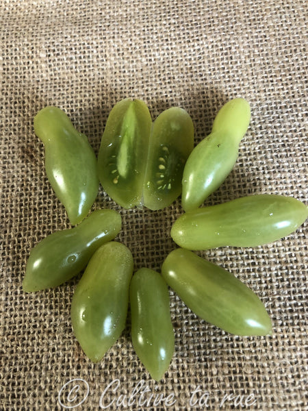 Dancing green fingers – Cultive ta rue